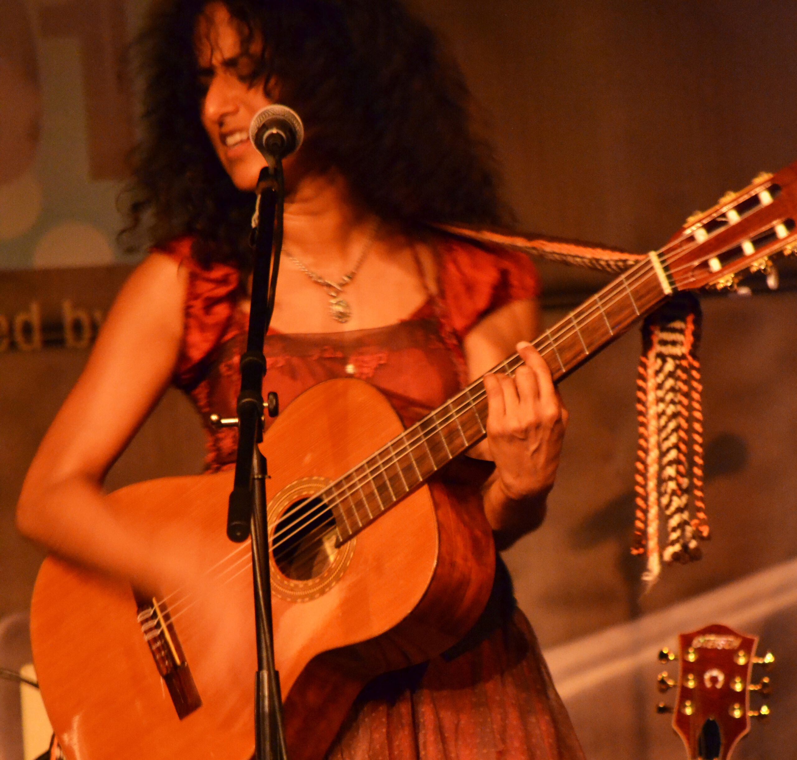 Live Review: Rupa and the April Fishes at Winter Jazz Fest | Metro ...