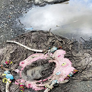 Silicon Alleys: A Lonely Road | Metro Silicon Valley | Silicon Valley’s ...