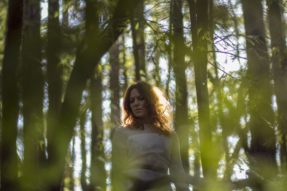 Hurricane Roses at Willow Den | Metro Silicon Valley | Silicon Valley’s ...