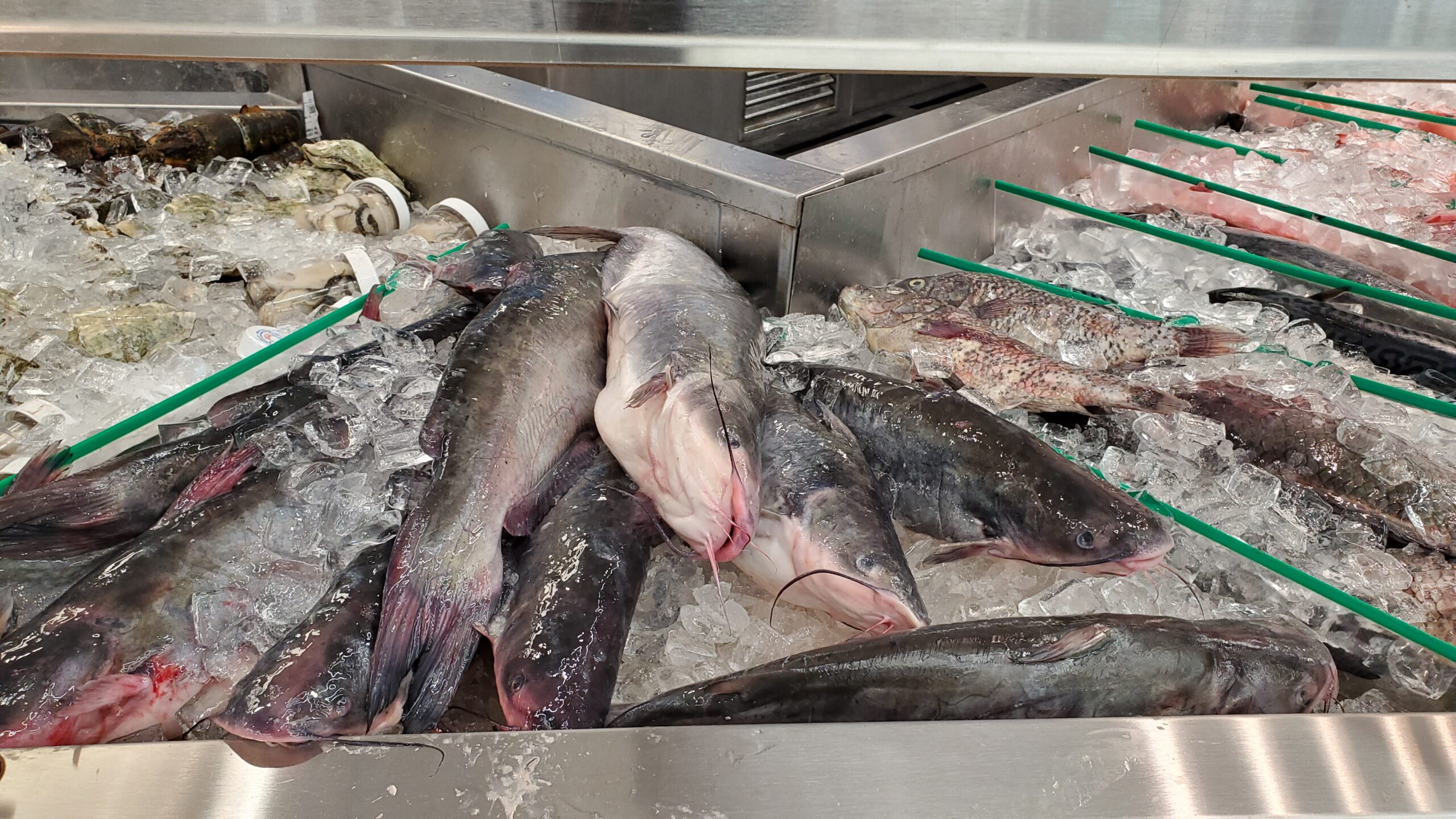 A Mall Evolves | Metro Silicon Valley | Silicon Valley’s Leading Weekly