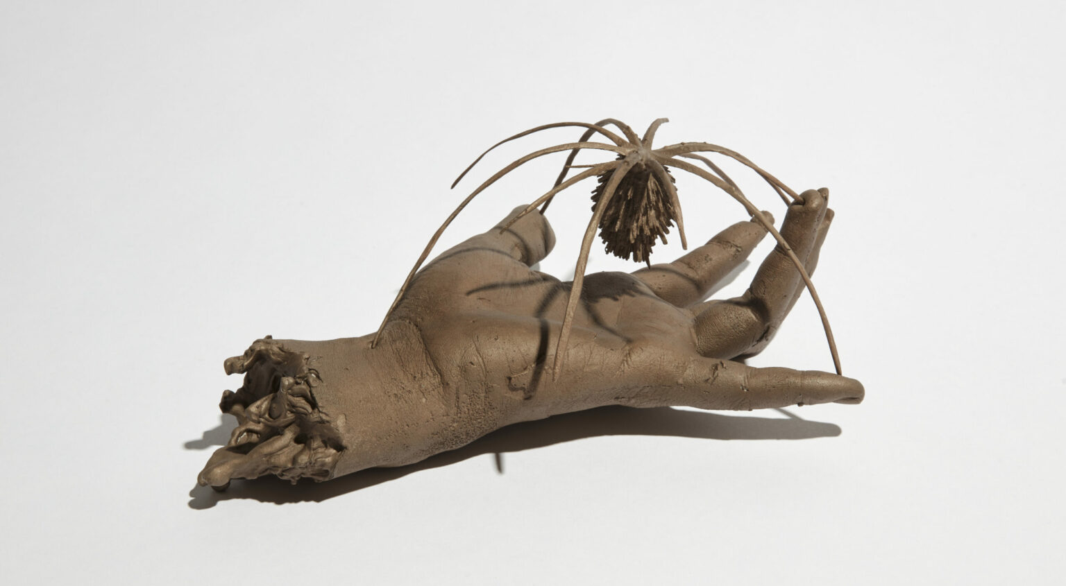 Kelly Akashi: Formations Held at San Jose Museum of Art | Metro Silicon ...