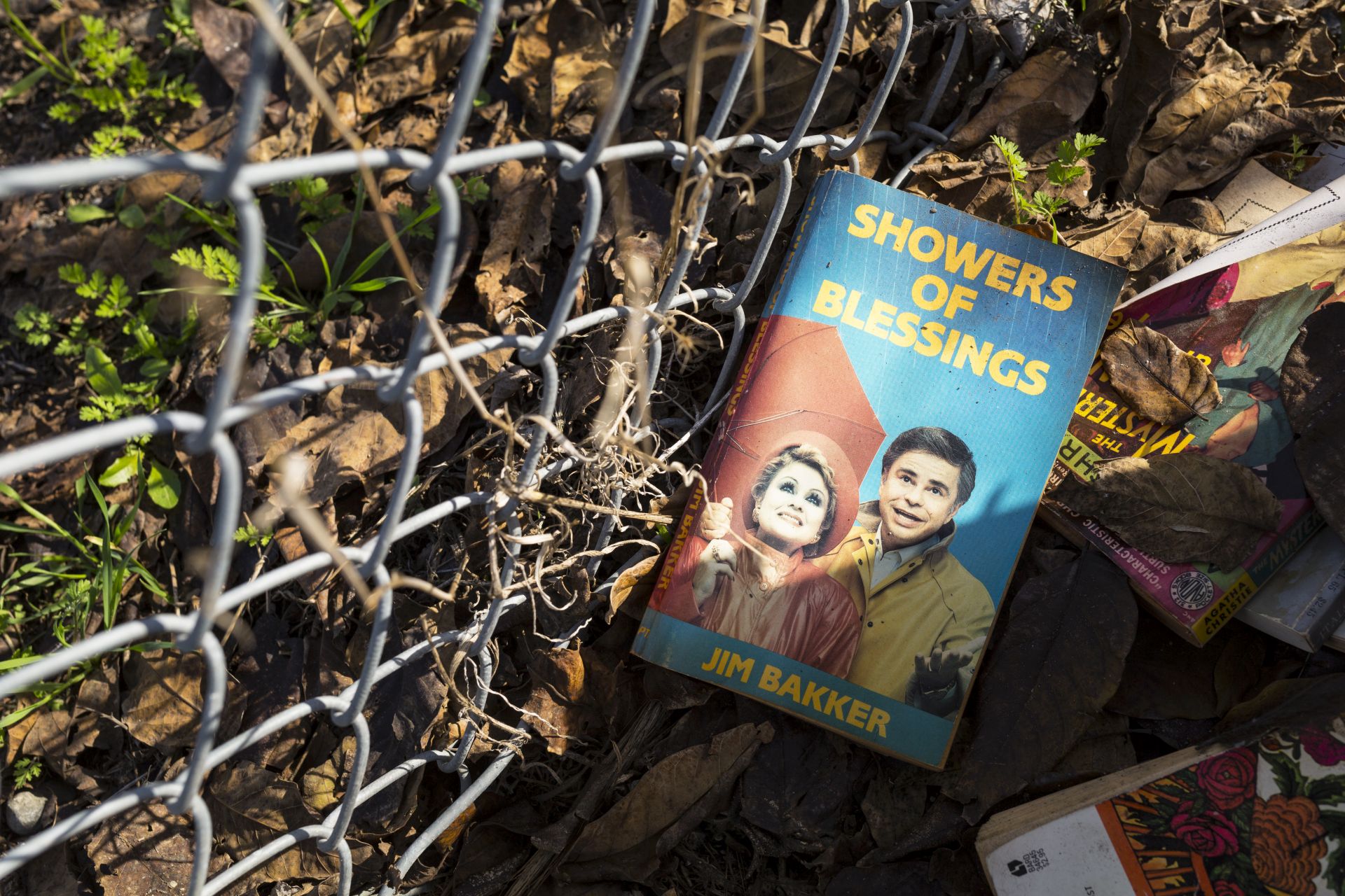 Josh Marcotte and Lost San Jose