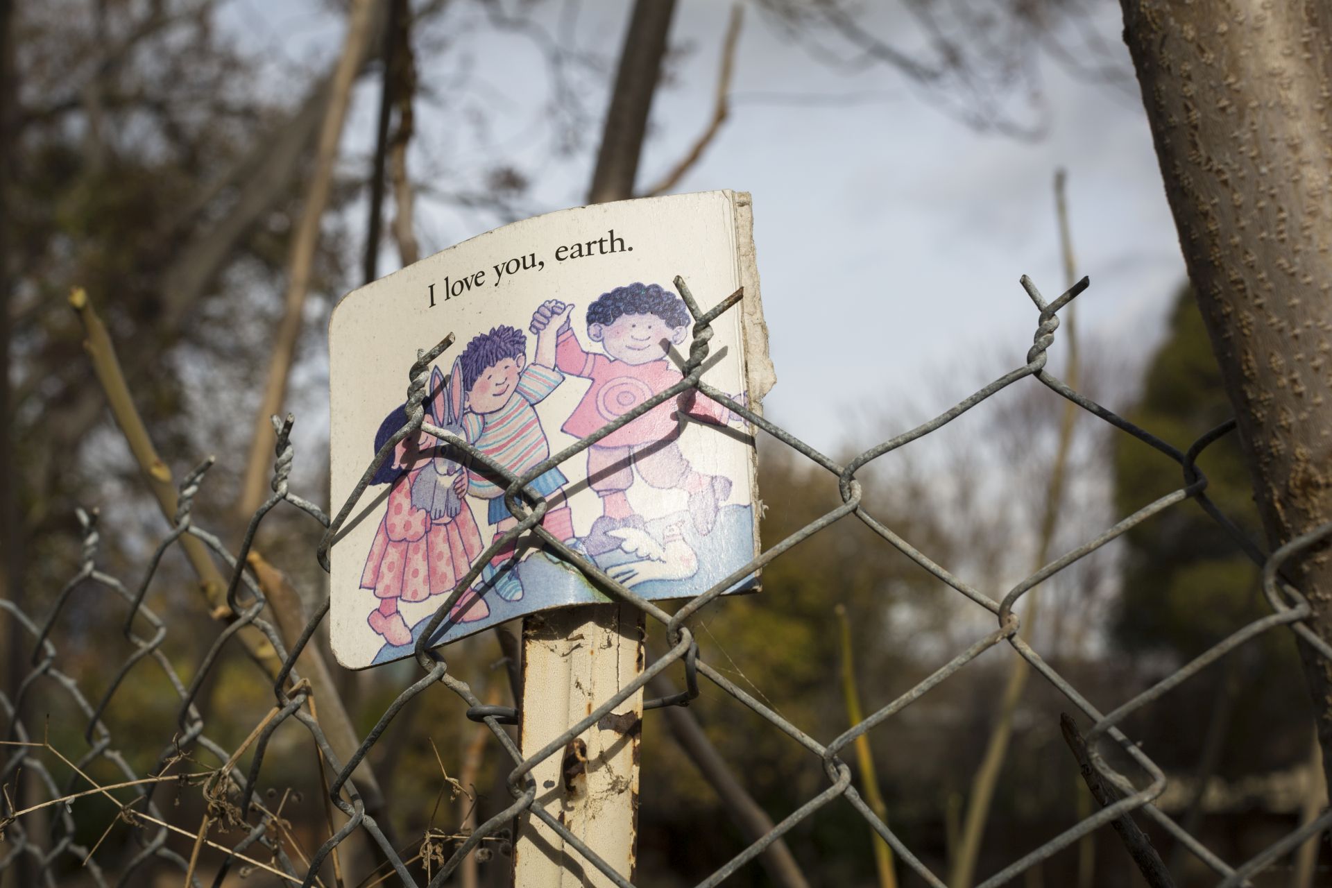 Josh Marcotte and Lost San Jose