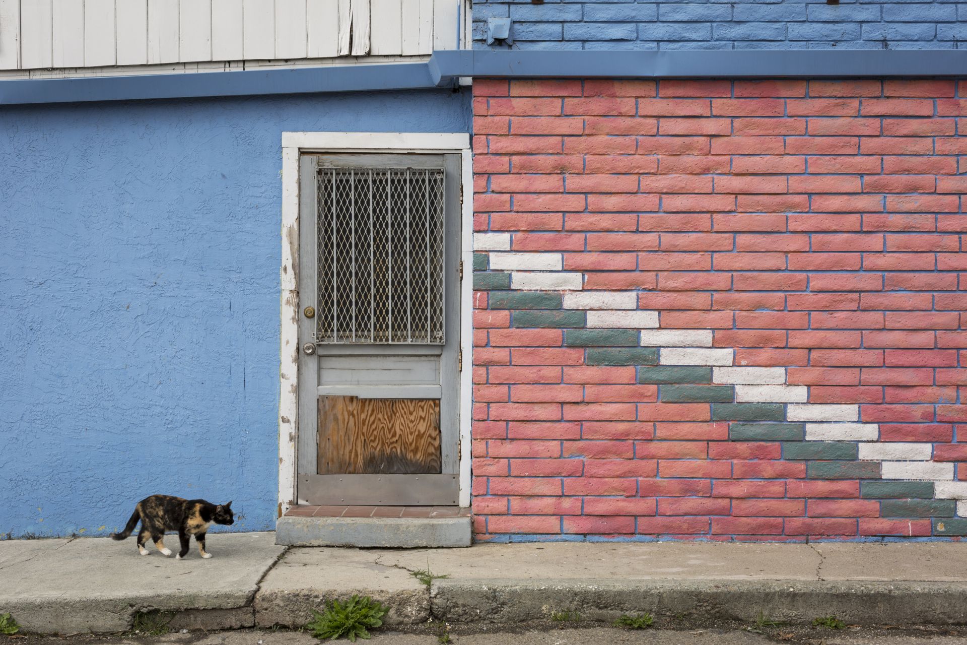 Josh Marcotte and Lost San Jose