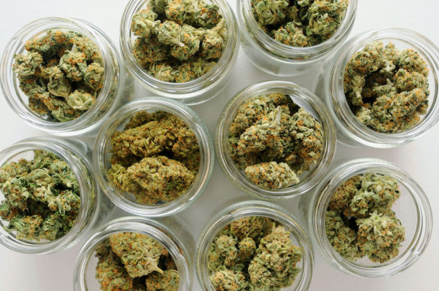 Best of Silicon Valley 2025: Top Cannabis Dispensaries & Edibles